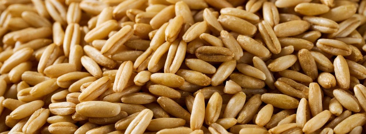 What Are Oat Groats? Benefits, Nutrition & How to Cook Them ...