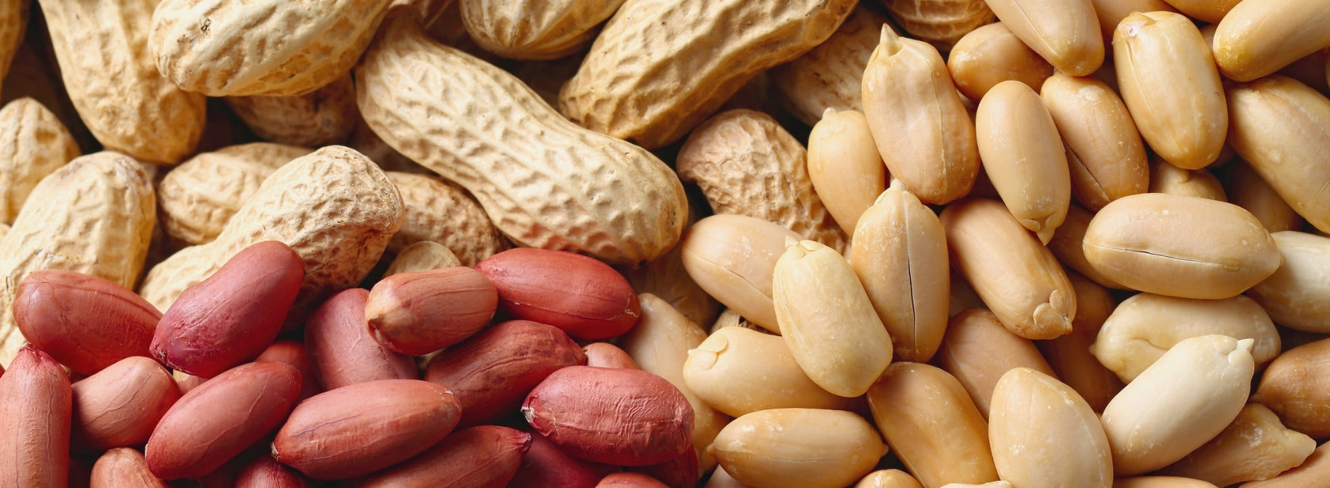 The Difference Between Roasted and Raw Peanuts | Uses, Flavor & Tips ...