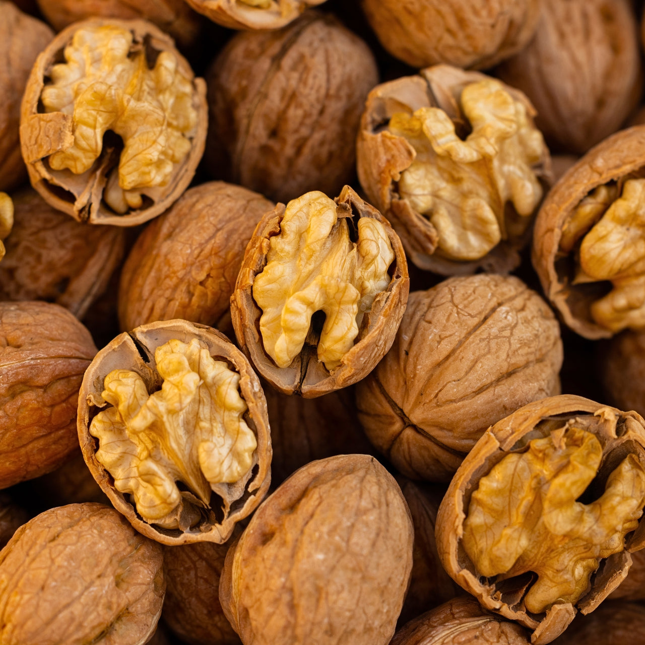 Organic Jumbo Hartley Walnuts – In-Shell – SunOrganic Farm