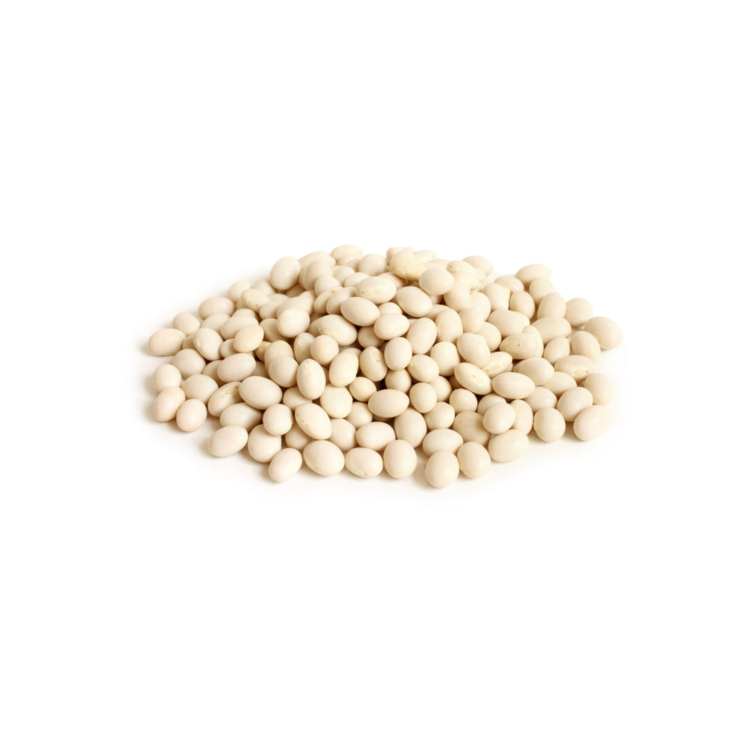 Organic Navy Beans – Creamy & Protein-Rich – SunOrganic Farm