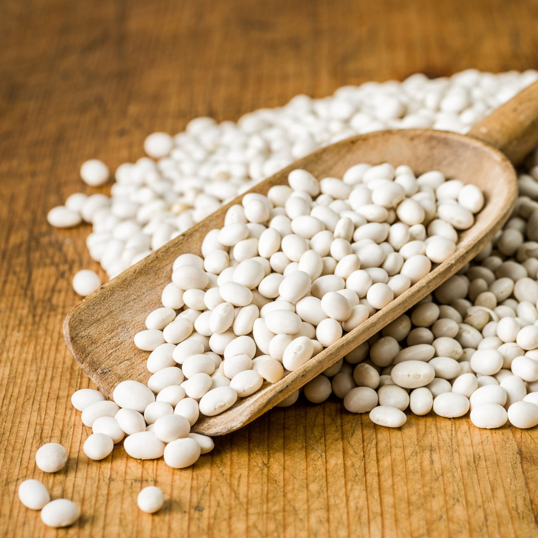 Organic Navy Beans – Creamy & Protein-Rich – SunOrganic Farm