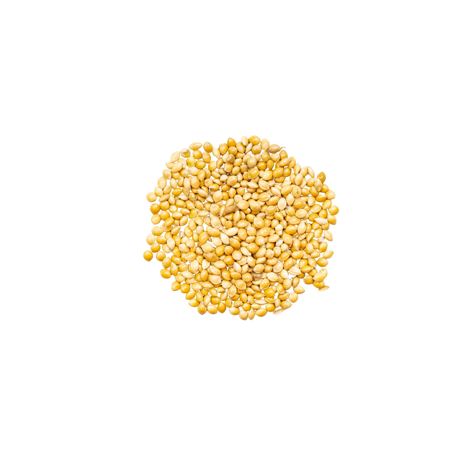 Organic Whole Proso Millet – High Fiber & Gluten-Free – SunOrganic Farm