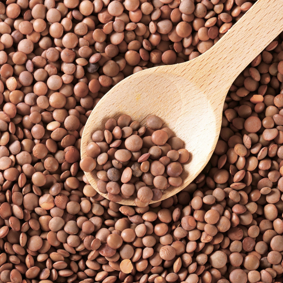 Organic Whole Red Lentils – With Skin – SunOrganic Farm