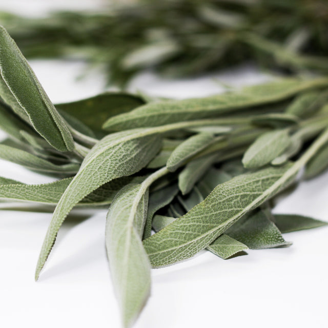Organic Rubbed Sage – USDA Organic – SunOrganic Farm