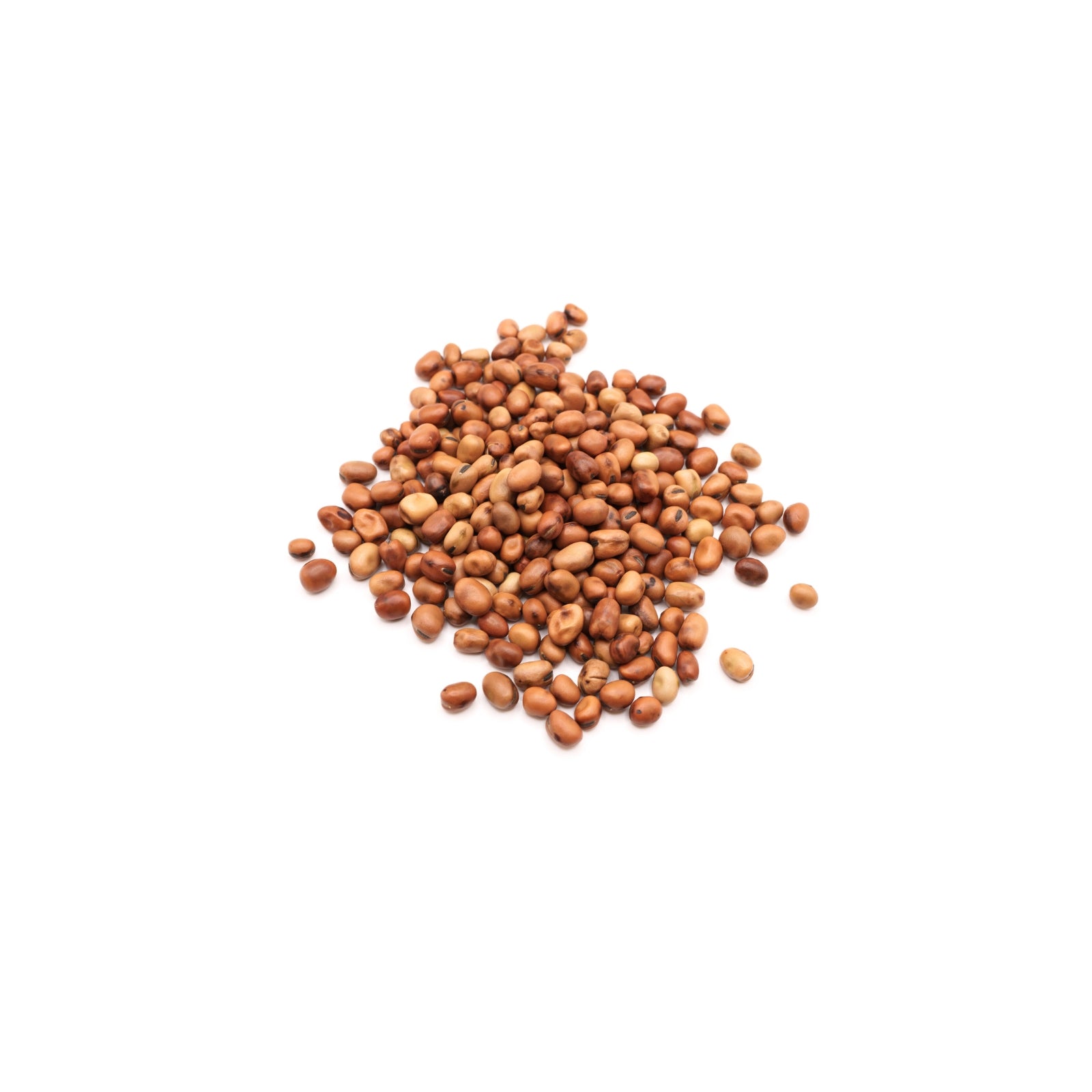 Organic Small Fava Beans – Sweet, Nutritious & Fiber-Rich – SunOrganic Farm