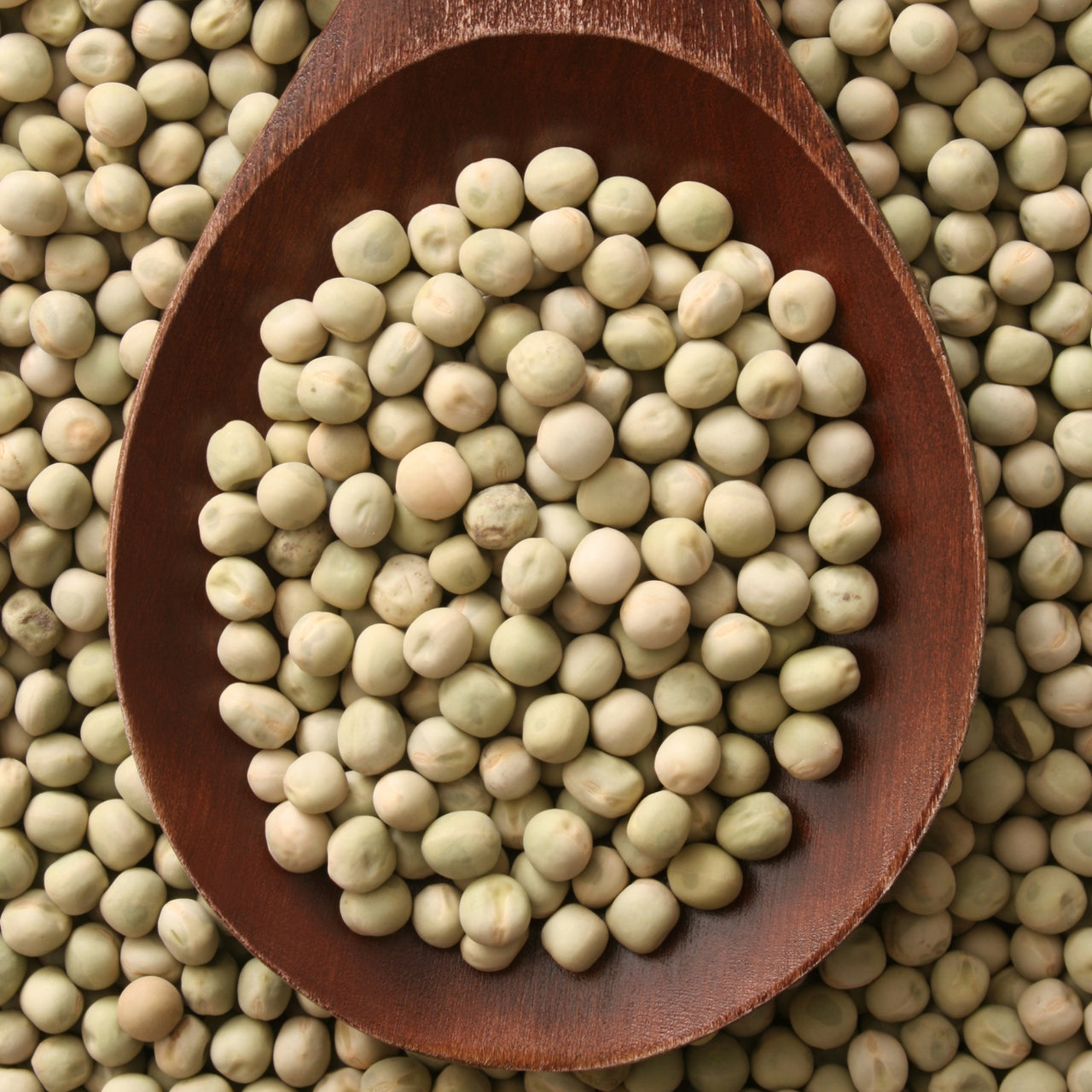 Organic Whole Green Peas – Protein & Fiber Rich – SunOrganic Farm